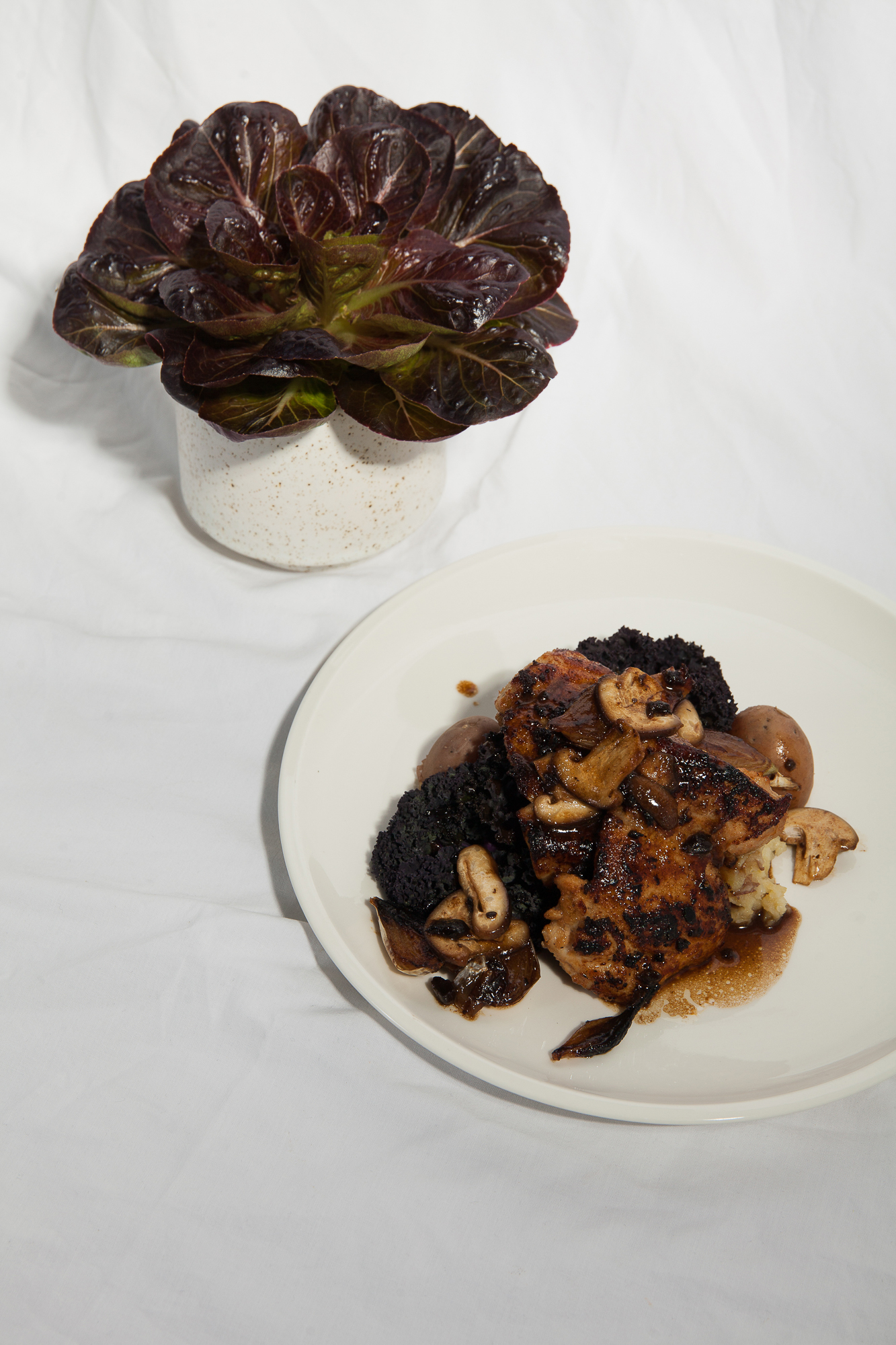 kemper chicken kale – Phood Kitchen