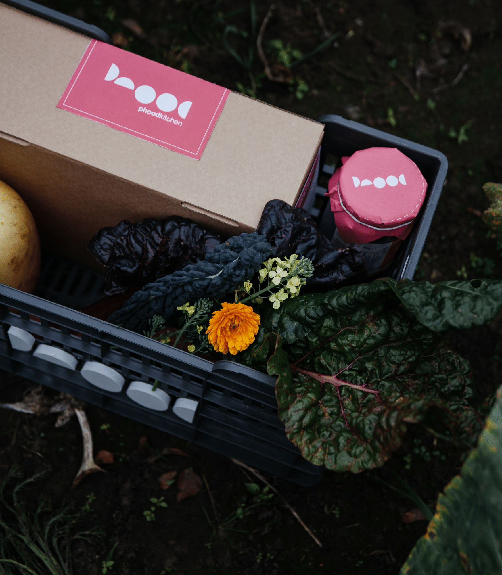 Phood Subscriptions – Phood Kitchen